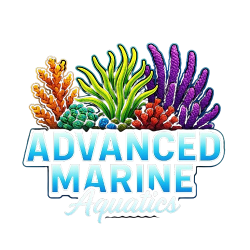 Advanced Marine Aquatics